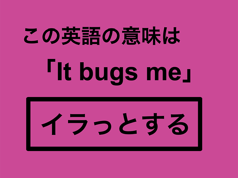 この英語ってどんな意味？「It bugs me」｜OTONA SALONE